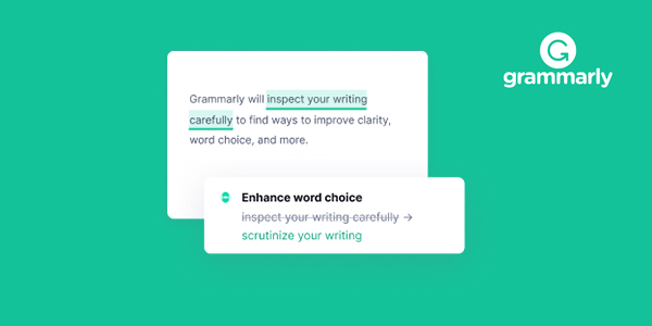 How can I Save Money on Grammar Checking Tools?